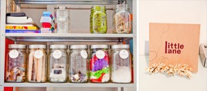 Photography; Weddings, engagements, and portraits.