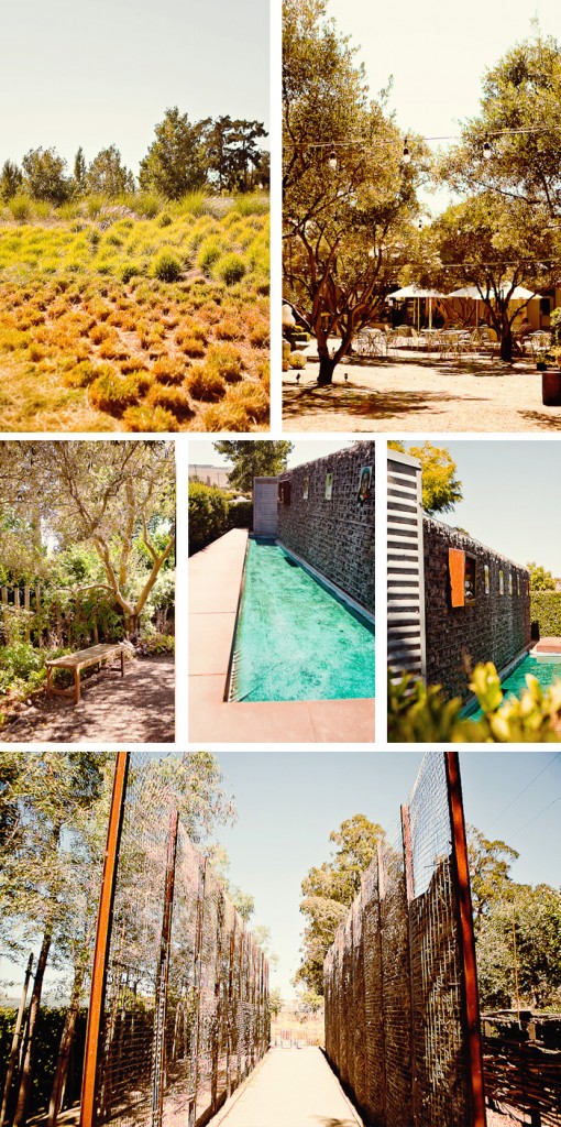 Cornerstone Gardens in Sonoma - Milou + Olin Photography